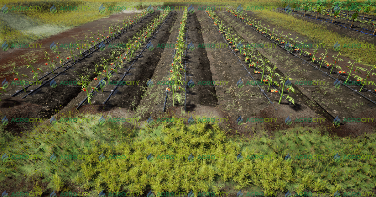 Diseño Agronómico de Sistemas de Riego – Agrocity