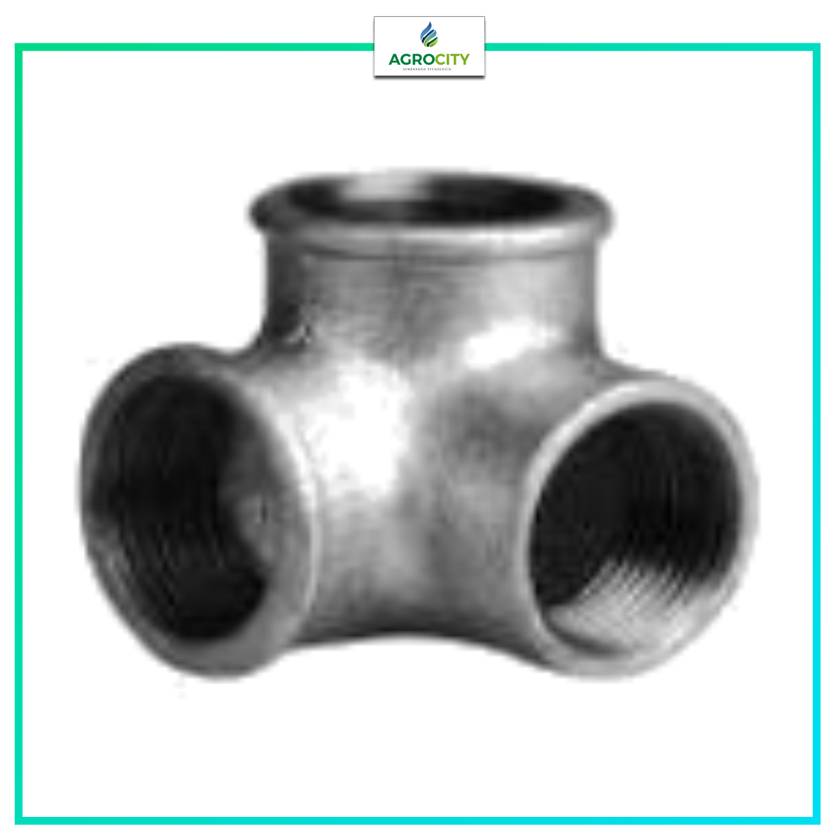 CODO RINCON RH – Agrocity