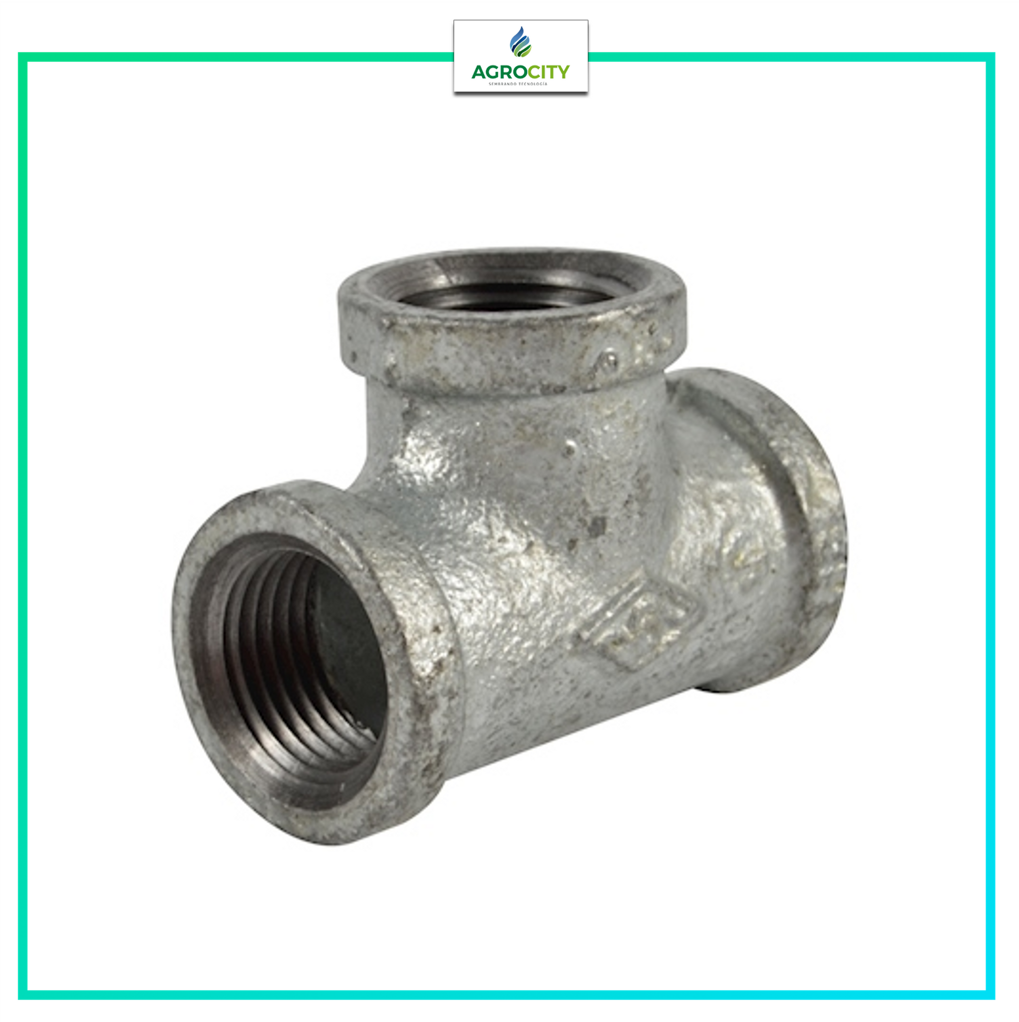 TEE HEMBRA – Agrocity